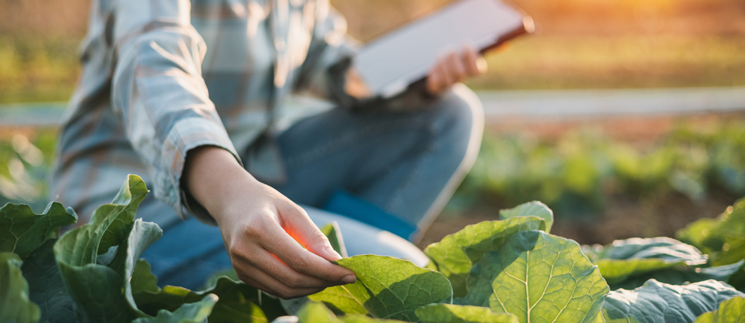 Evolucionando la estrategia del sector AgroTech